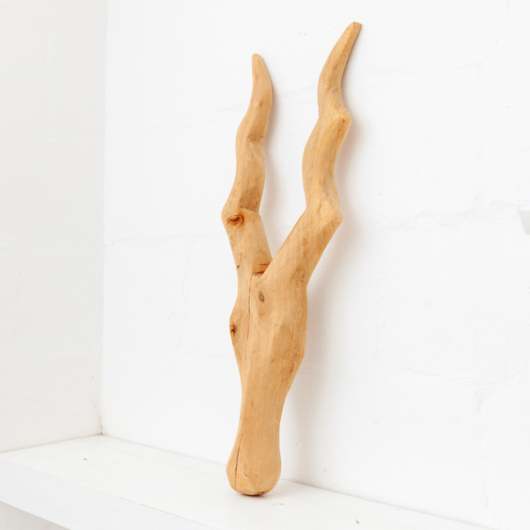 Curved Horn Kudu Head Wood - LCV Designs & Decor Pty Ltd